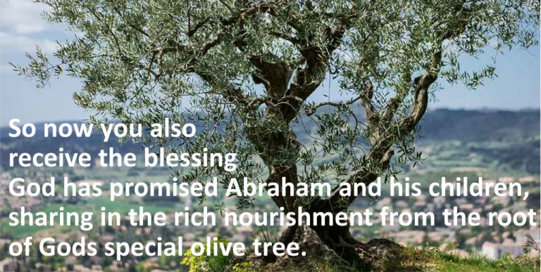Grafted into the tree of life - Life Love and Miracles